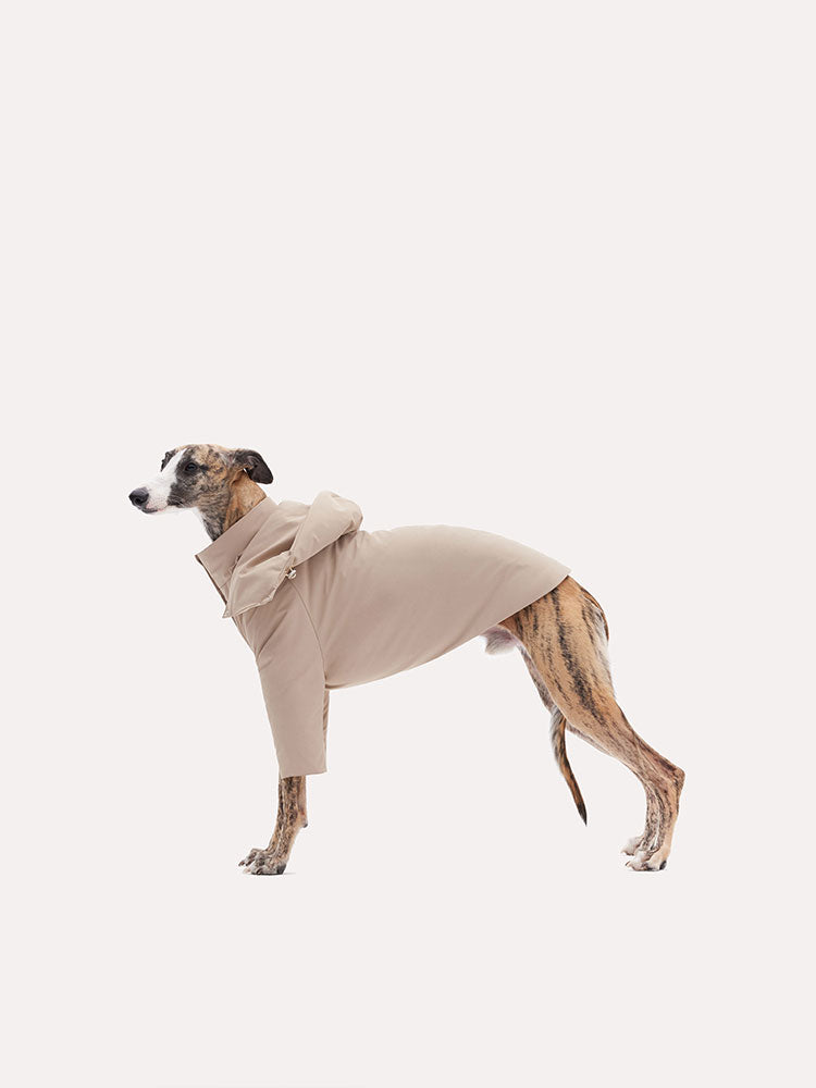 Dog Down Jacket | Jackets For Dogs Winter | Iggy Clothing - KNOWZA