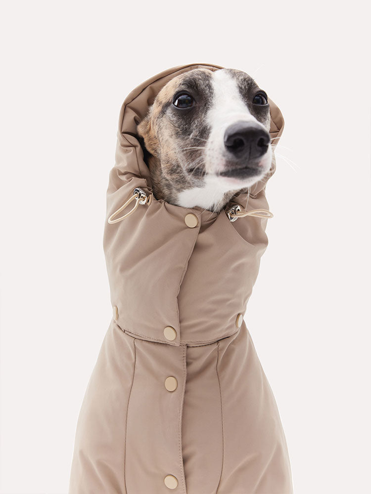 Dog Down Jacket | Jackets For Dogs Winter | Iggy Clothing - KNOWZA