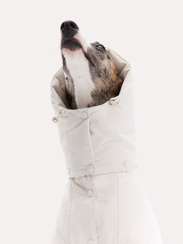 Dog Down Jacket | Jackets For Dogs Winter | Iggy Clothing - KNOWZA