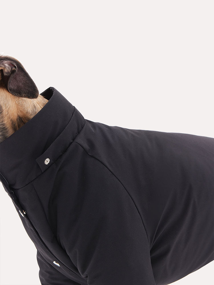 Dog Down Jacket | Jackets For Dogs Winter | Iggy Clothing - KNOWZA